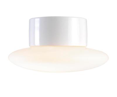 Lum cairo matt white ip44 joint 7300/led - ceiling lumina...