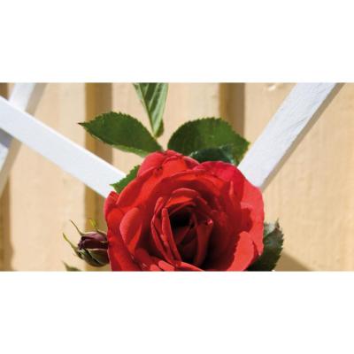 Spaljé plast vit 200x100 cm nelson garden - spaljé, plast...