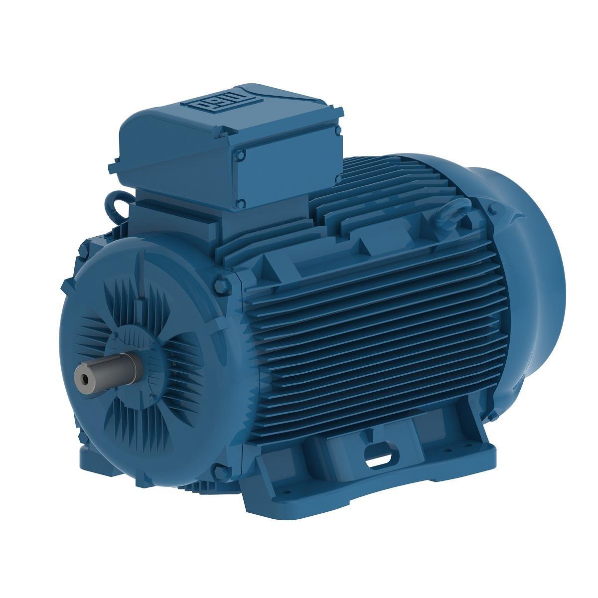 Motor 6p 110 kw 500 v b3t w22p06p315s/m-110ie3eb3t - elmo...
