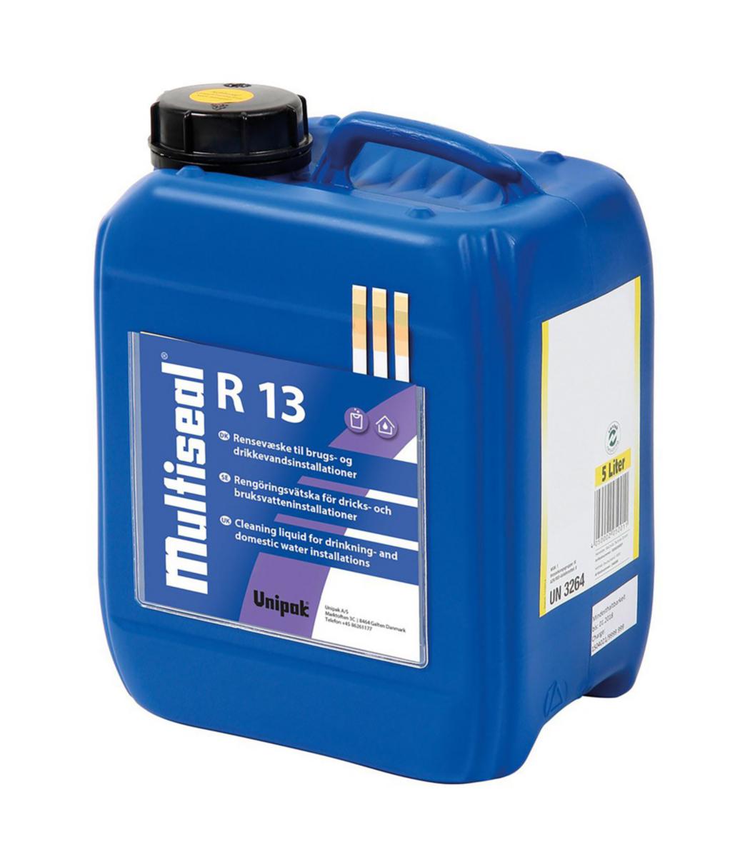 Multiseal r 13 5 liter - rengöringsvätska multiseal r13