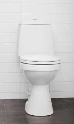 Wostman wc stol ecoflush, urin separerande,inkl.sits(2 de...